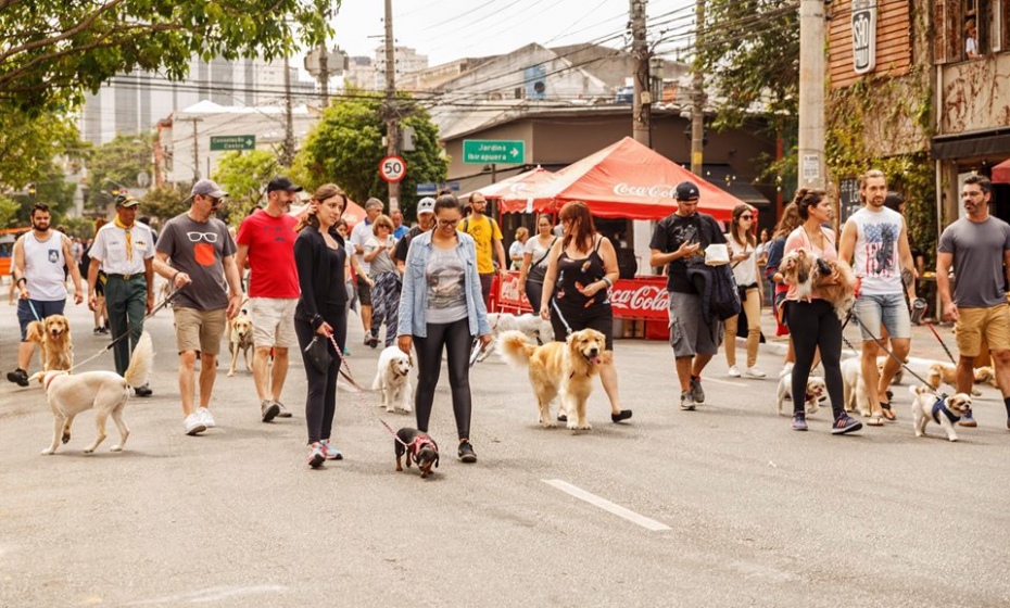 Festival Pinheiros - Giraí - São Paulo